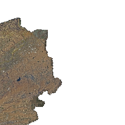 ArcGIS Web Application